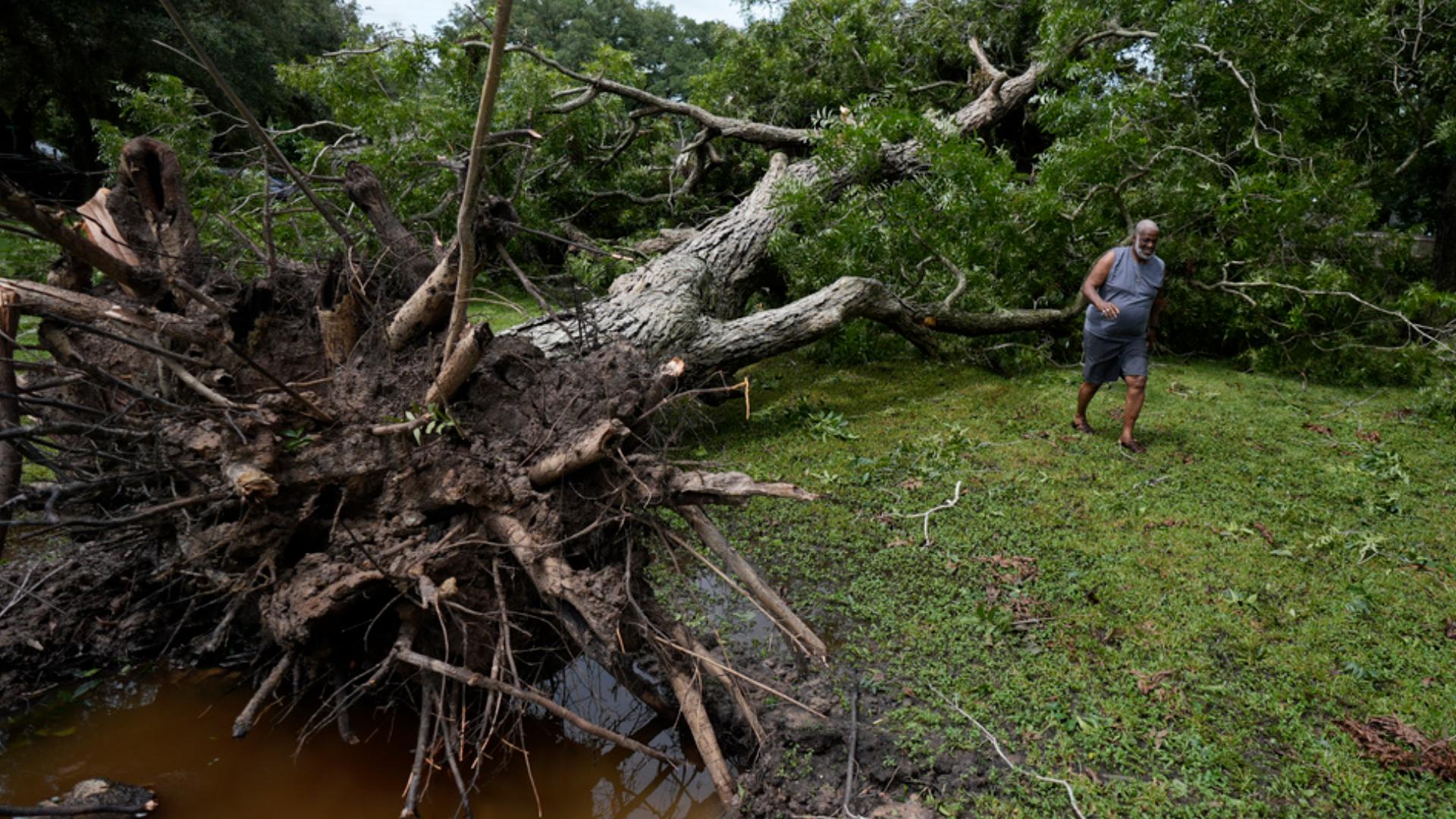 Hurricane Beryl damage in Houston | 311 service calls: Map | khou.com
