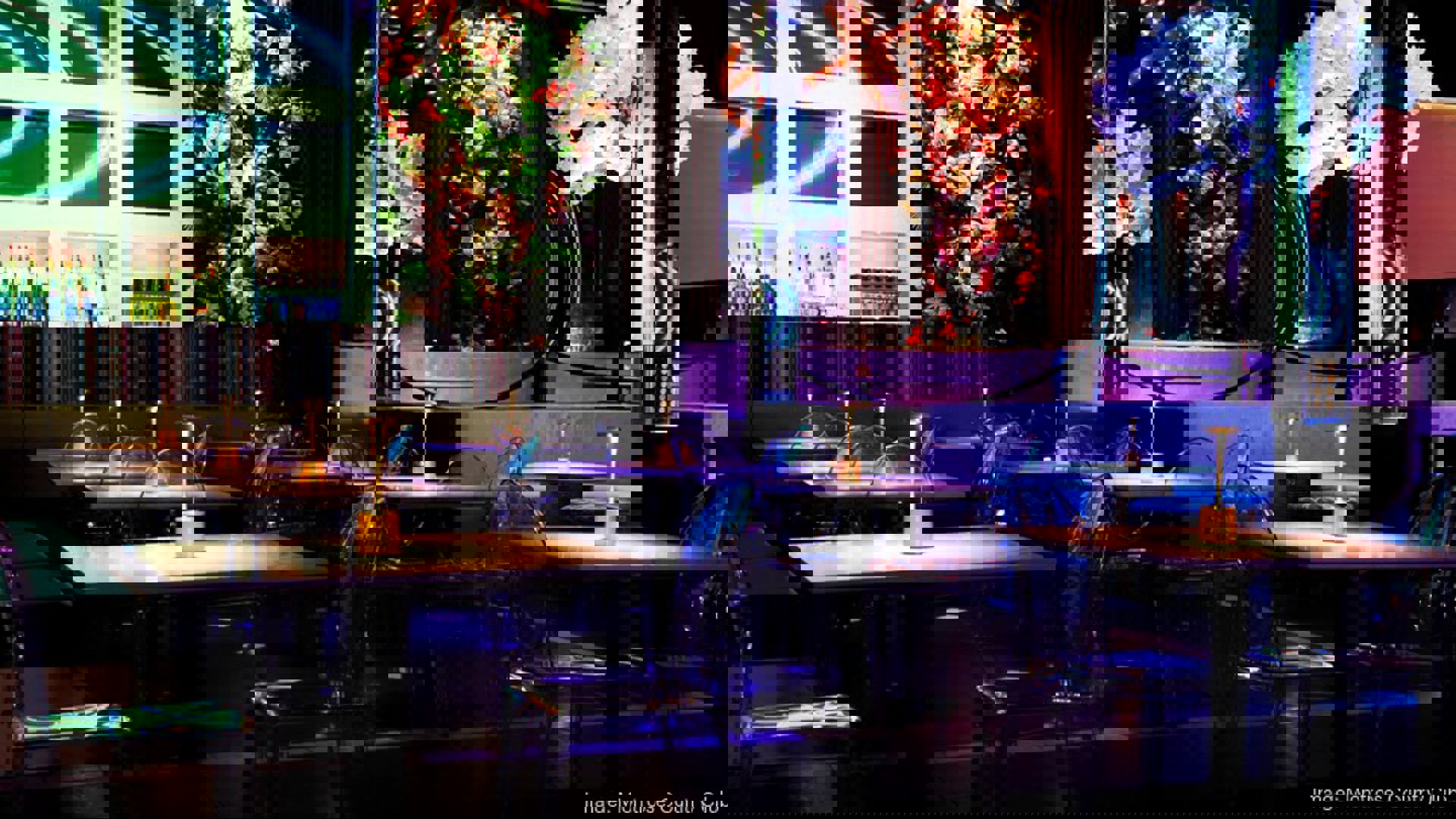 Montrose Country Club to offer open pool-restaurant concept in Houston ...