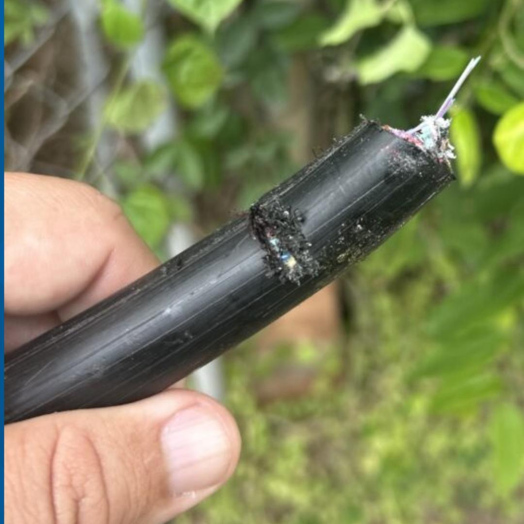Houston internet outage: Xfinity down across the area | khou.com