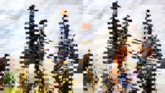 Houston Police Department Mounted Patrol horse dies at 15 | khou.com