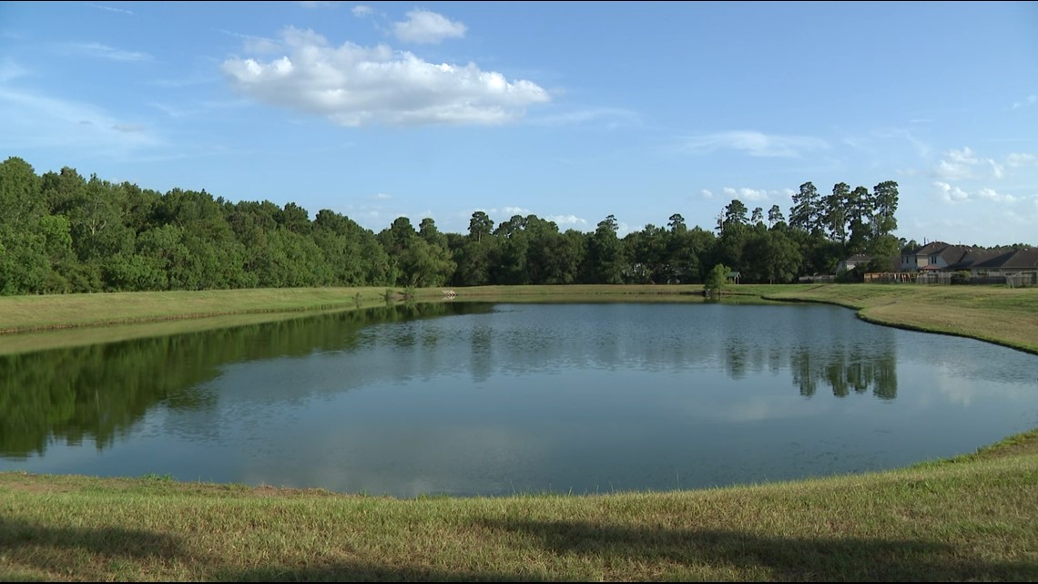 Sewage kills dozens of fish in Magnolia community pond | khou.com