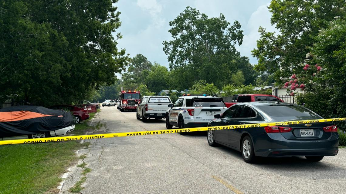 Harris County, Texas news: Man found dead in house fire | khou.com