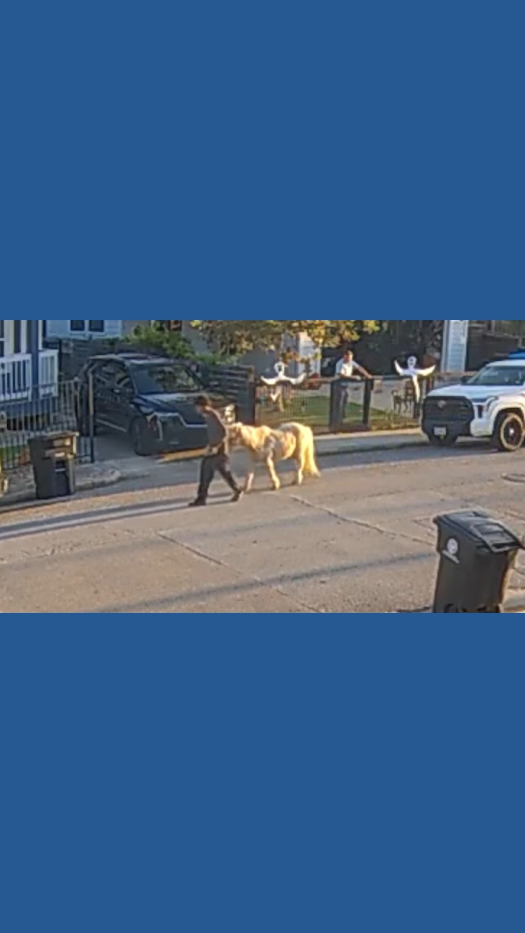 Stolen pony seen on several surveillance videos from around north ...