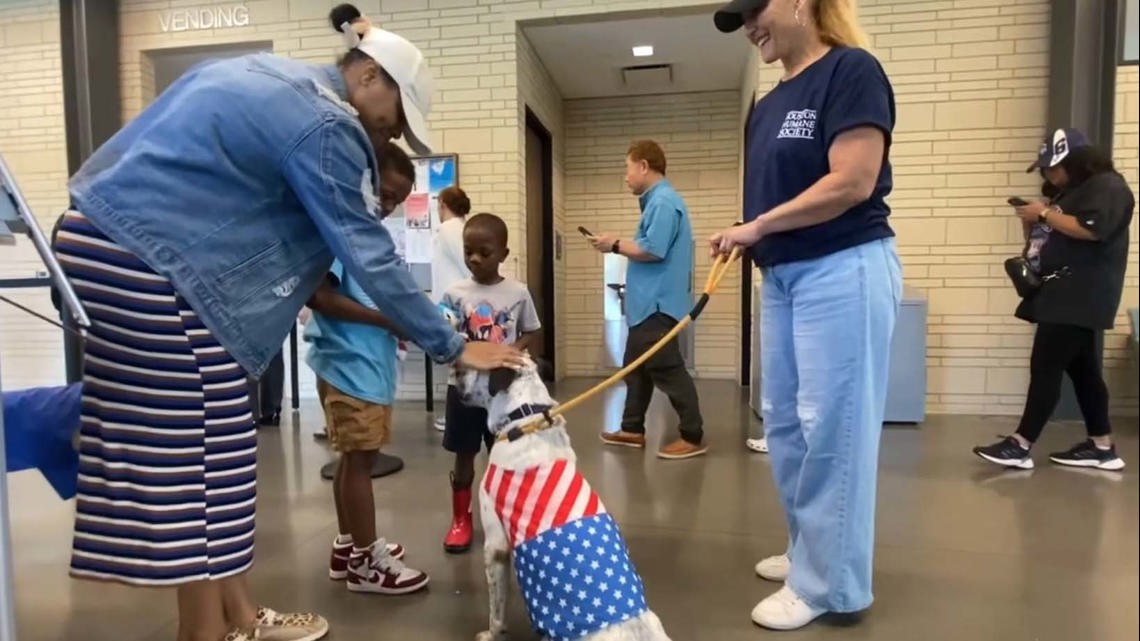 Patriotic pups help ease Election Day stress at Pearland polling ...