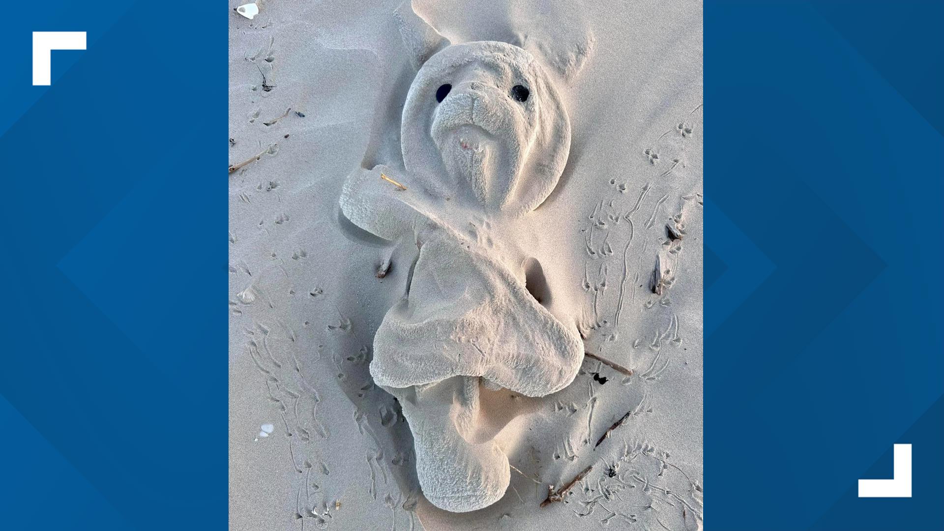 Beachcombing turns up weird finds on Texas beaches | PHOTOS | khou.com