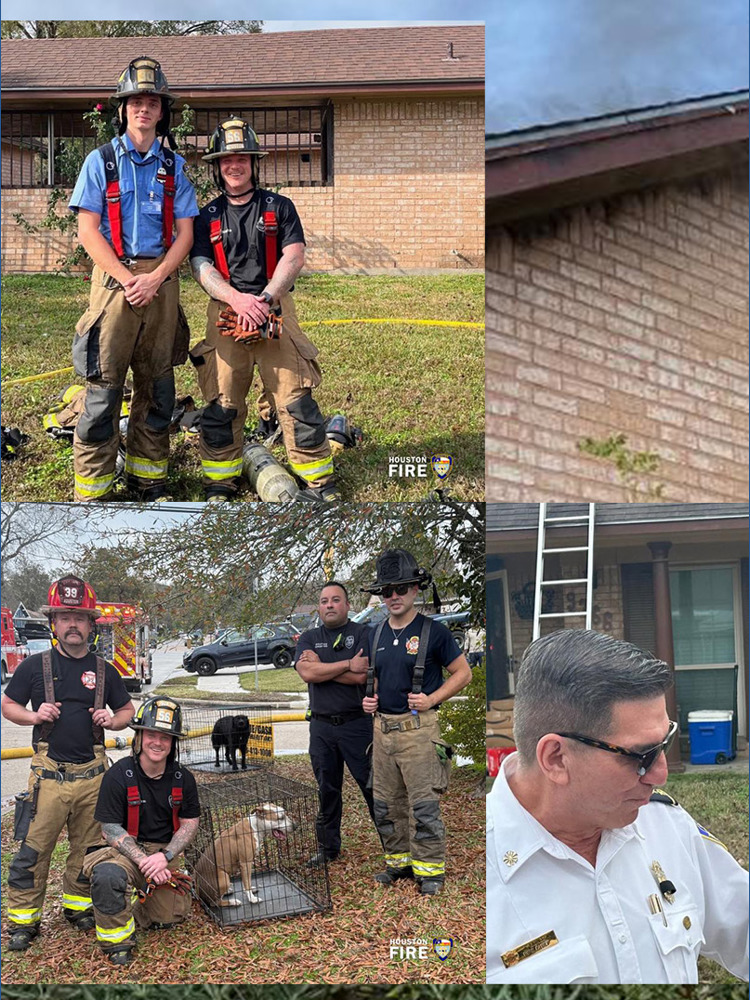 Houston firefighters battle three fires on Christmas Eve morning ...