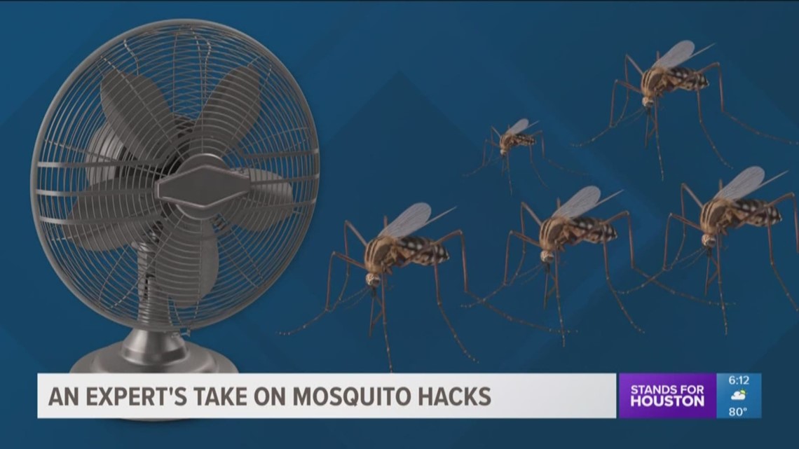 Here's an expert's take on mosquito hacks | khou.com