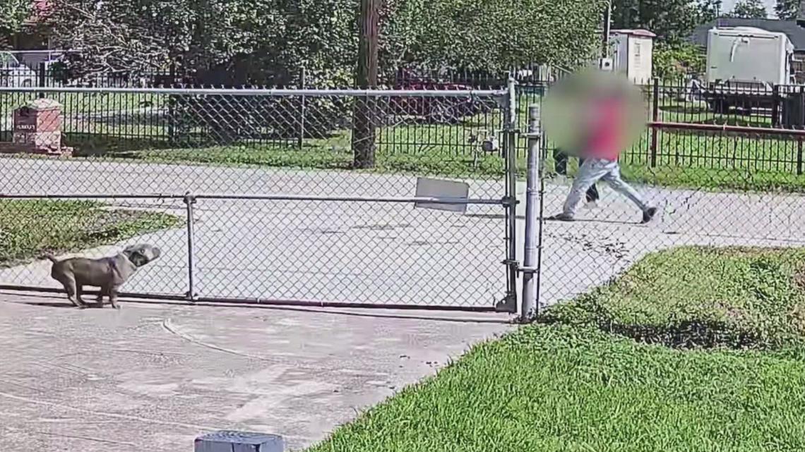 Sandra Melgar case: Innocence Project offers $100,000 reward in Houston ...