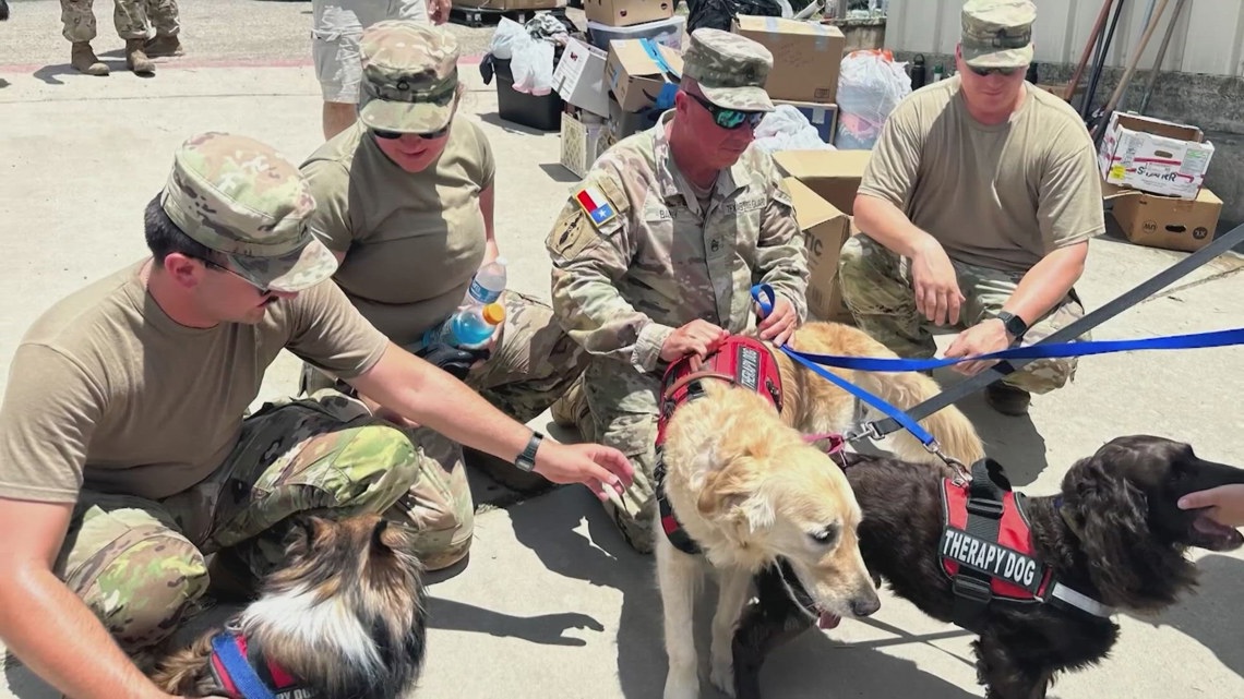 Therapy dogs from Houston help comfort Hill County flood survivors ...