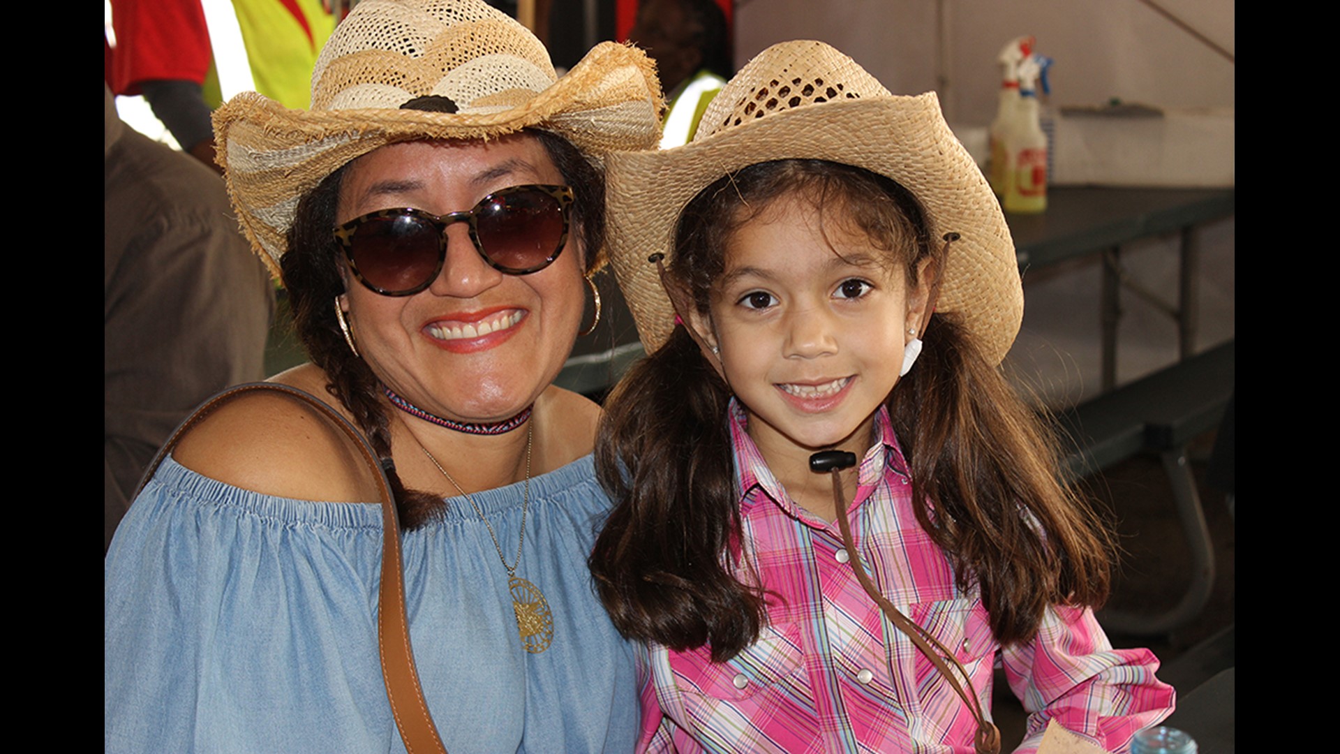 Houston Rodeo guide: attractions; parking; bag policy and more! | khou.com