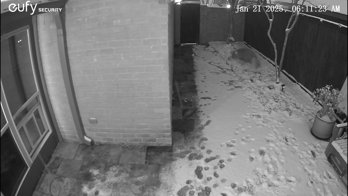 Snow in Fulshear, Texas | khou.com