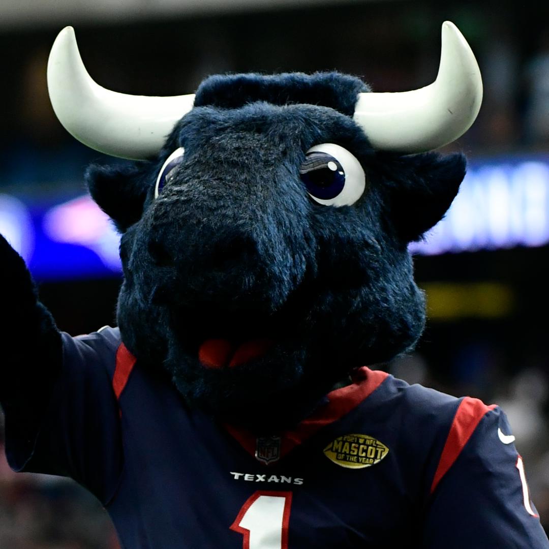 Texans mascot TORO pranks Titans fan at NRG Stadium | khou.com