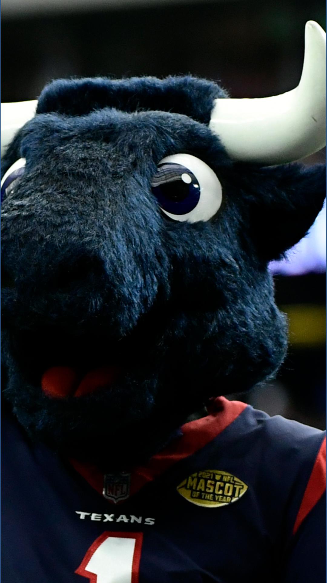 Texans mascot TORO pranks Titans fan at NRG Stadium | khou.com