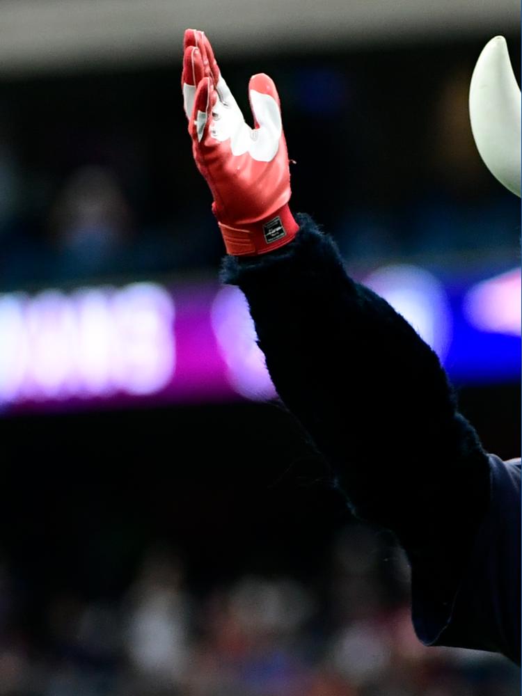 Texans mascot TORO pranks Titans fan at NRG Stadium | khou.com