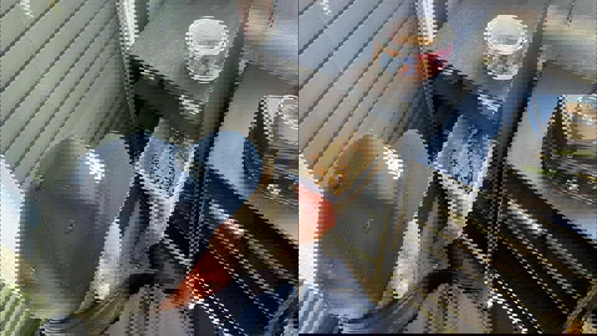 Pet pythons rescued from apartment complex in Houston, Texas | khou.com