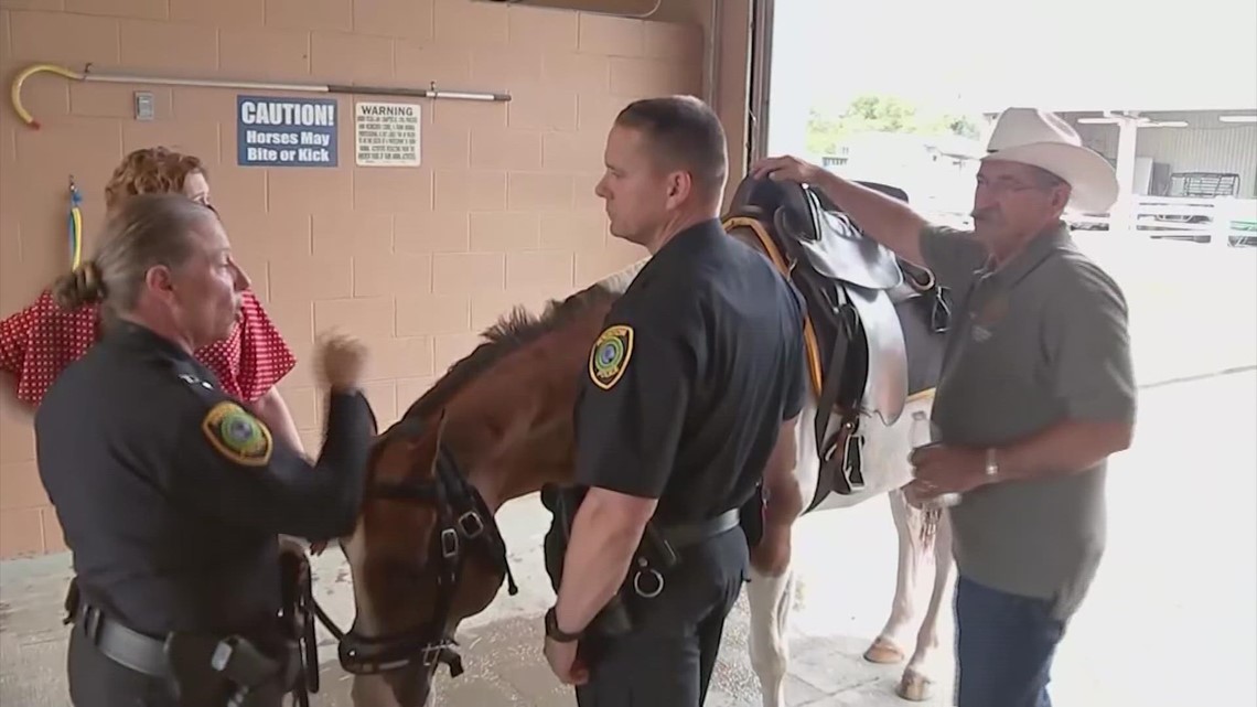 HPD welcomes newest mounted patrol recruit 'Matilda' | khou.com