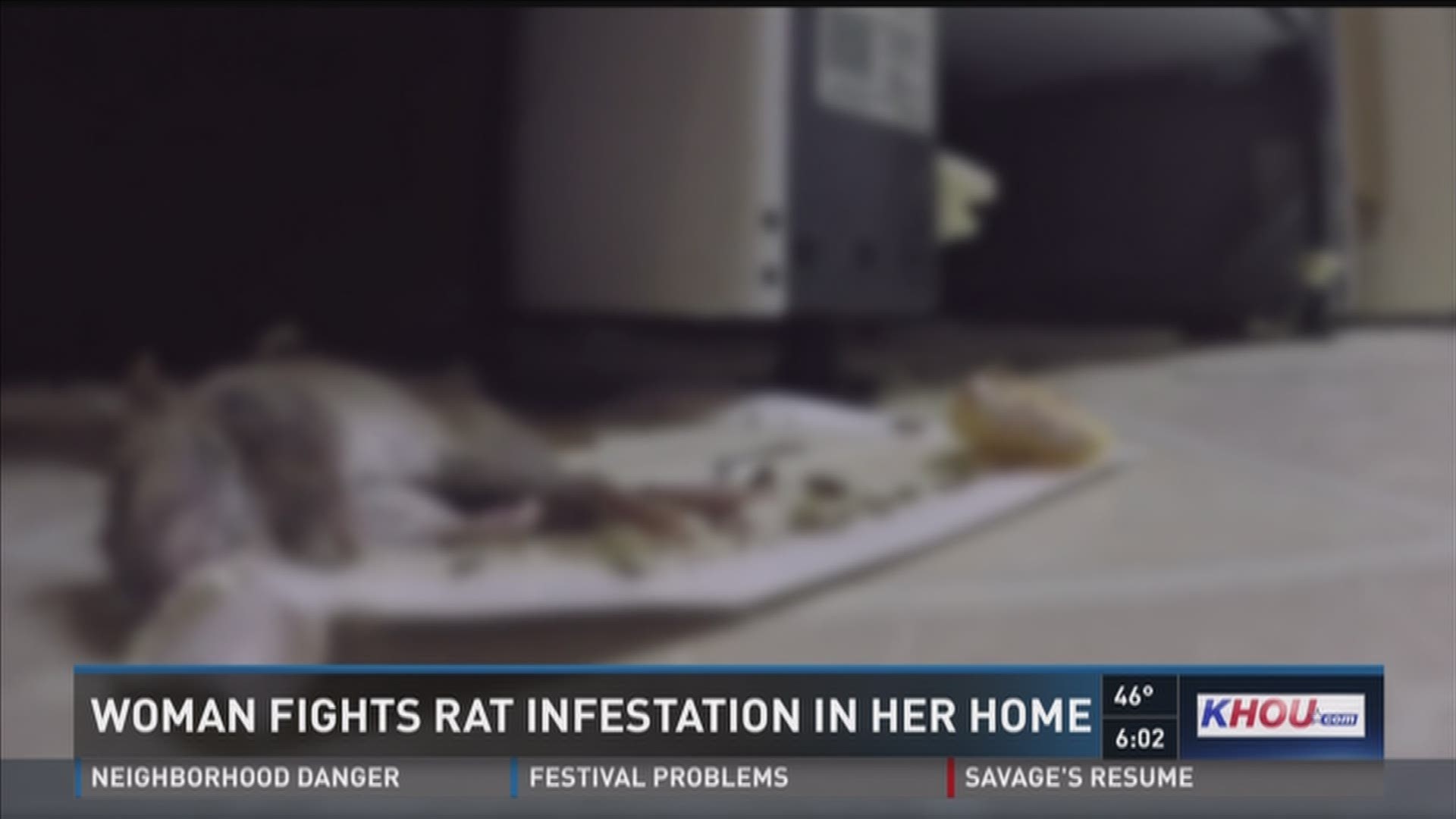 Woman fights rat infestation inside SW Houston apartment | khou.com
