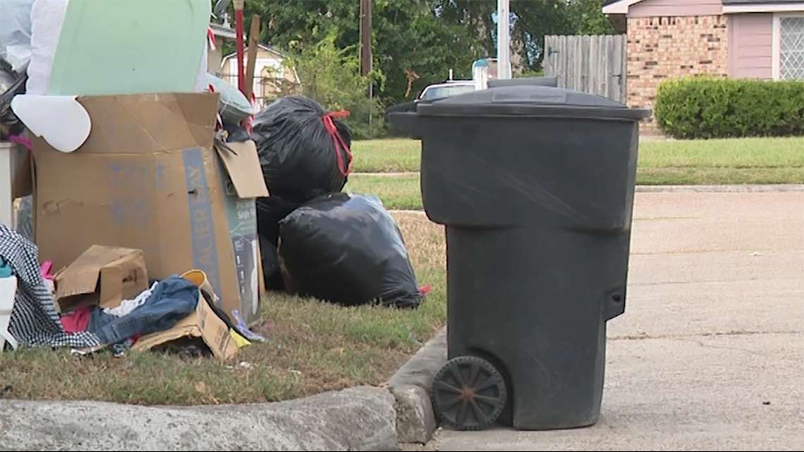 Celebrate fall at Zoo Boo now through Halloween at Houston Zoo | khou.com