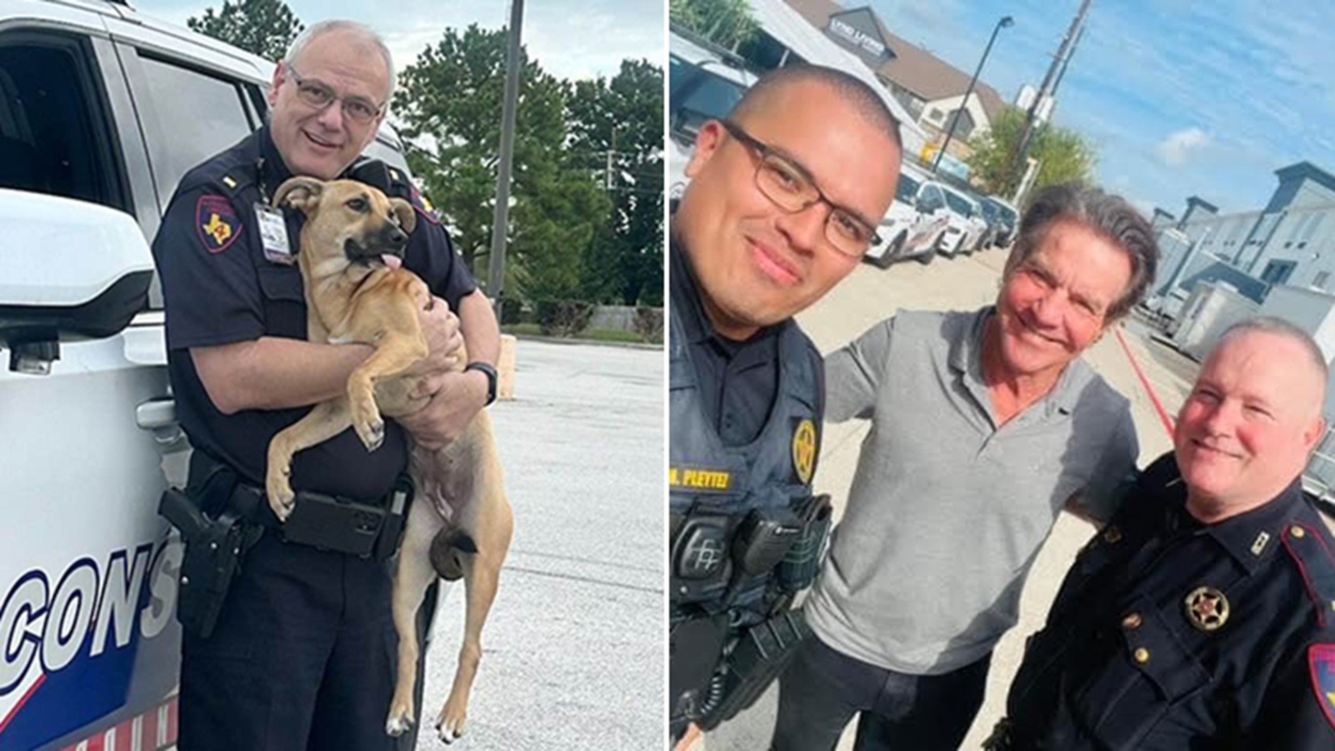 Pct. 4 officer rescues dogs from main lanes of North Sam Houston | khou.com