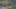 Trinity River Authority addresses viral concerns about Lake Livingston ...