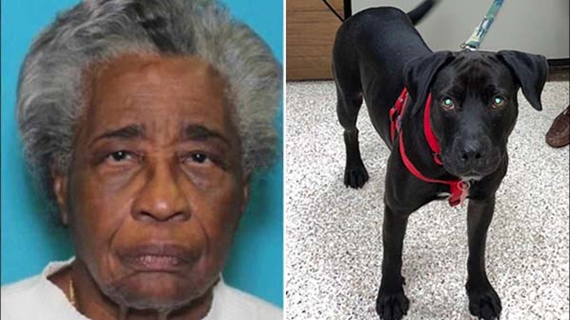 Missing: 84-year-old woman and her dog missing in SW Houston | khou.com