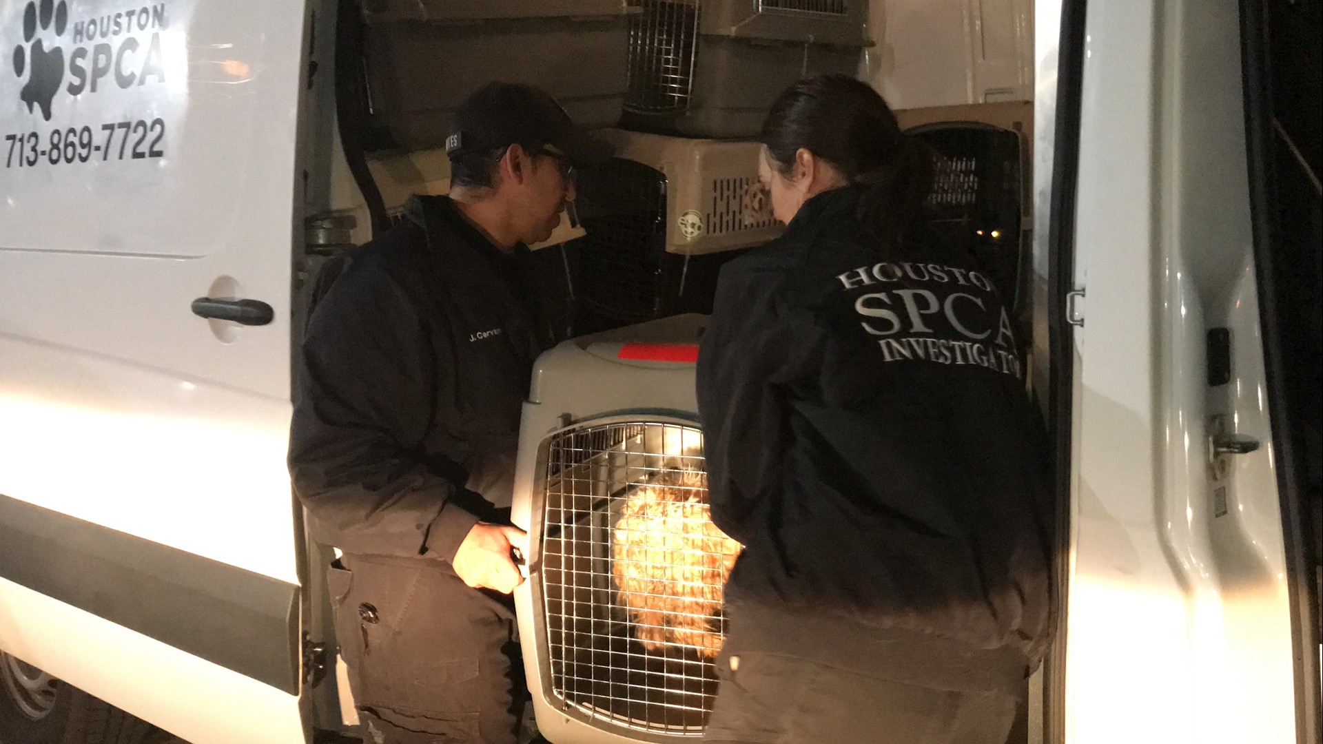 Houston SPCA rescues 26 dogs, cats from 'horrific conditions' | khou.com