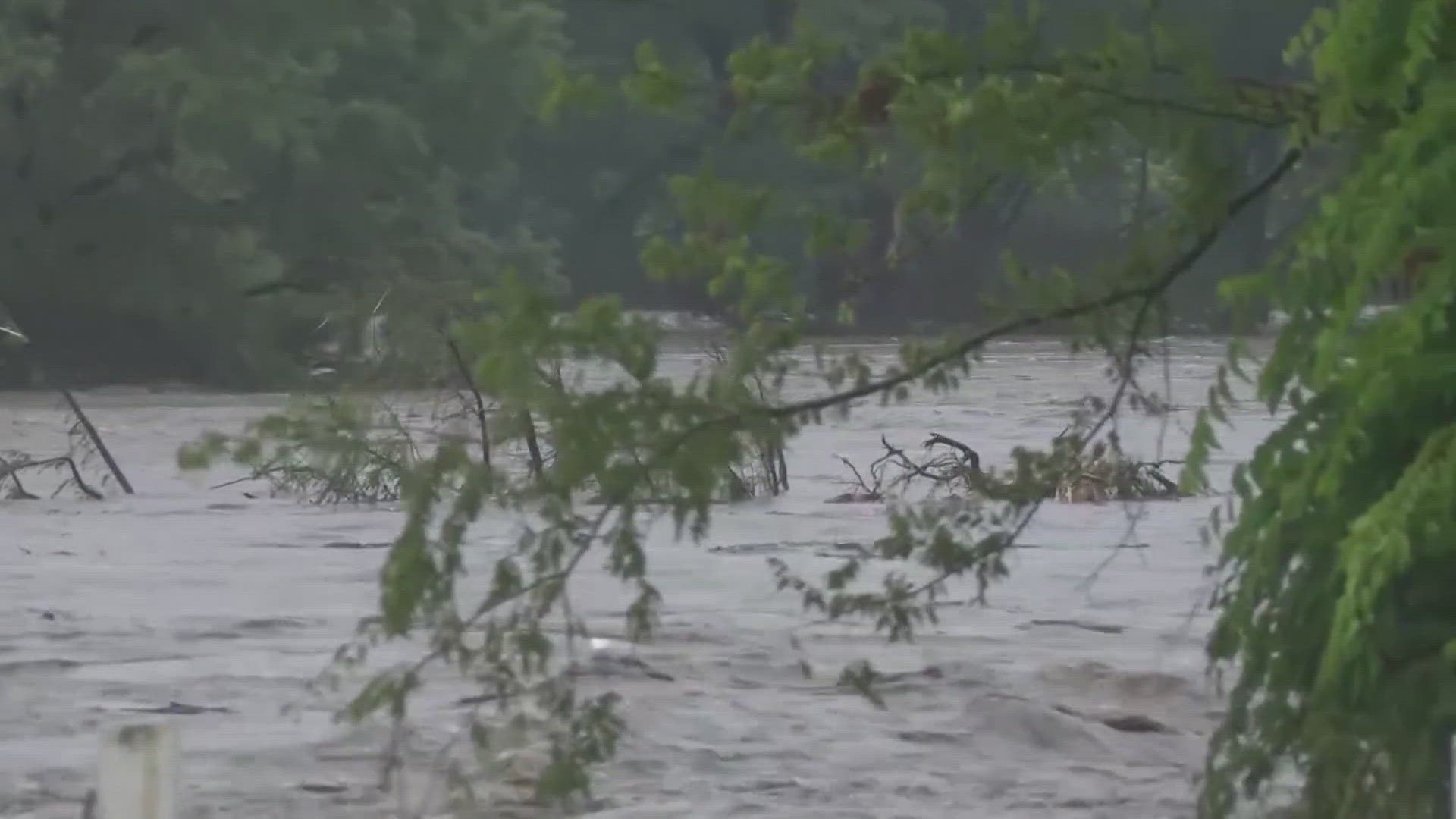 What is the Texas state fish? It's the Guadalupe bass | khou.com