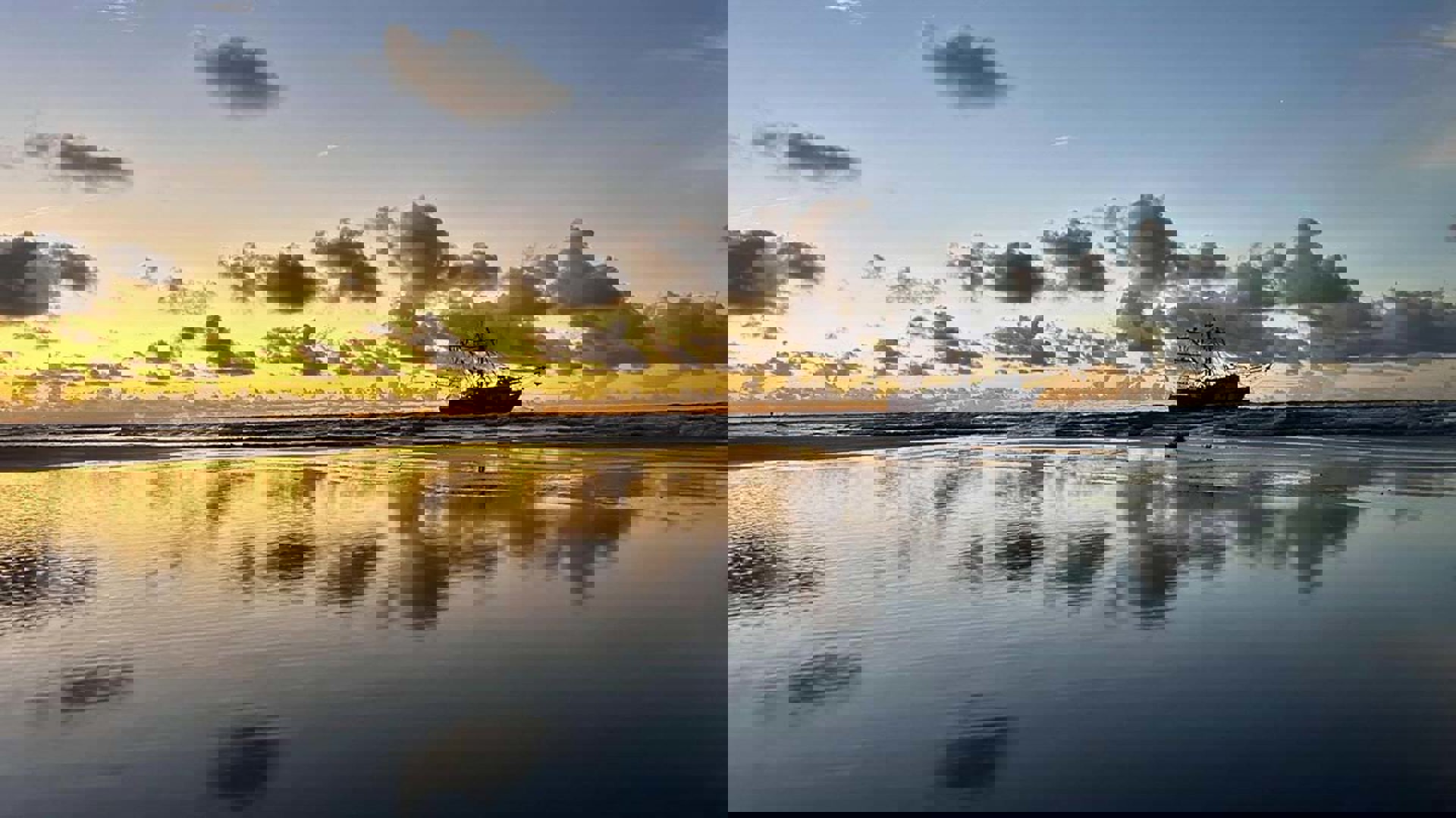 Beachcombing turns up weird finds on Texas beaches | PHOTOS | khou.com