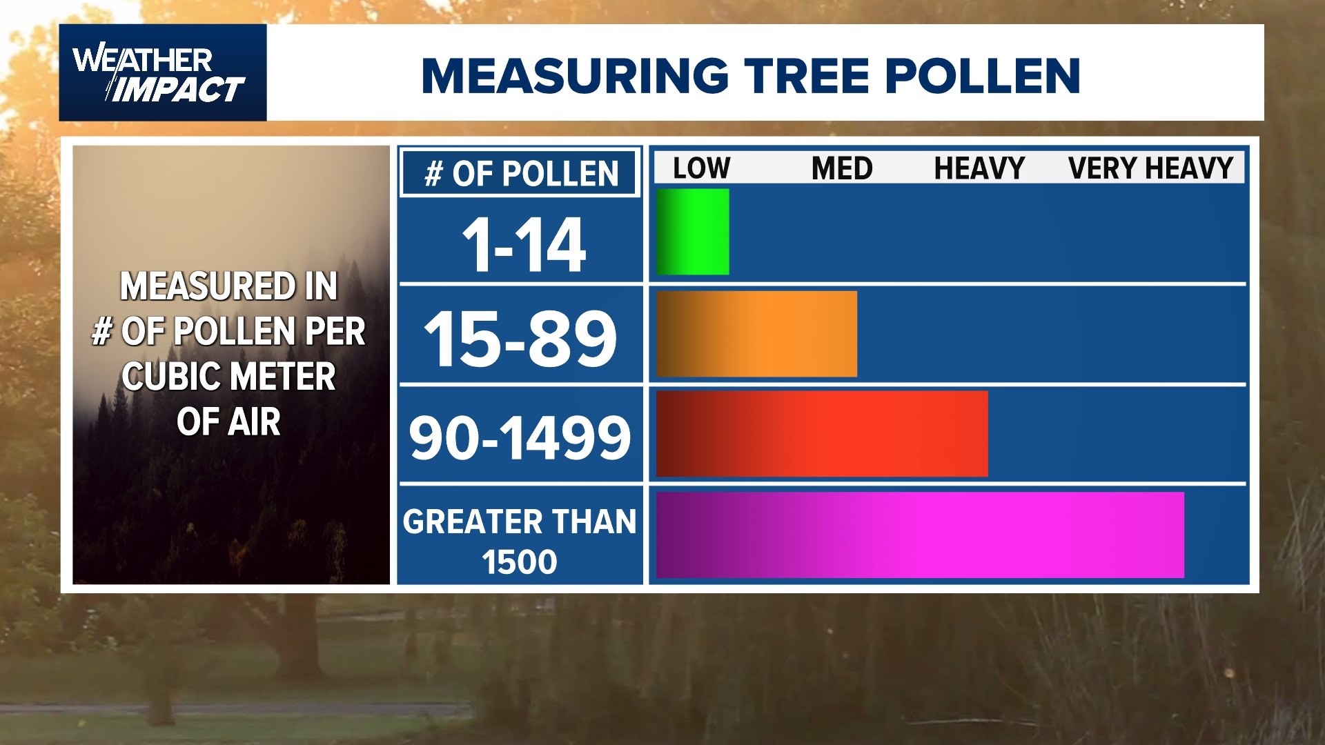 What is cedar fever? | khou.com