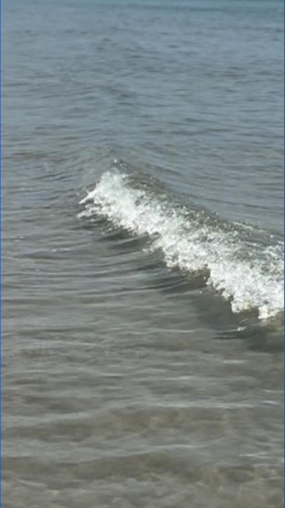 Check it out! Clear water in Galveston | khou.com