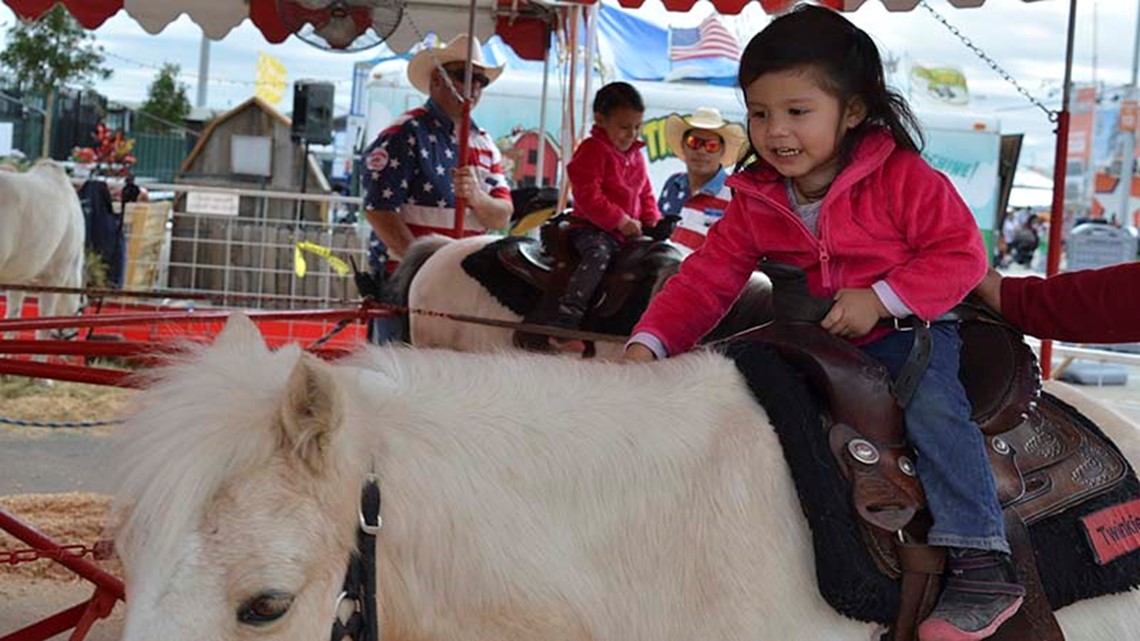 Family-friendly rodeo attractions for kids | Houston, Texas news | khou.com