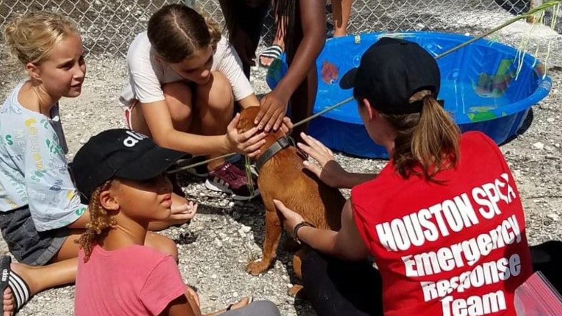 Houston SPCA providing SPCA Tampa Bay with disaster relief | khou.com