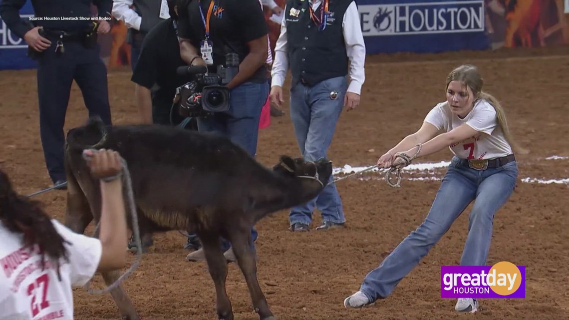 Inside the Calf Scramble at the Houston Livestock Show and Rodeo | khou.com