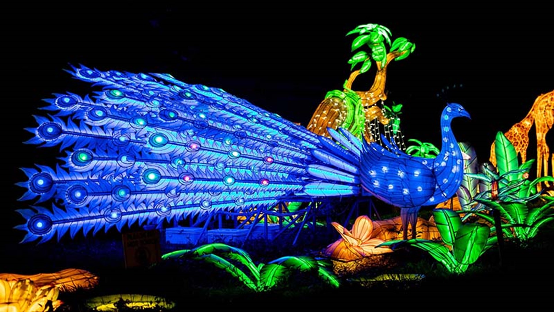 Houston Botanic Garden: Radiant Nature in full swing | khou.com