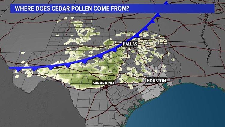 Houston, Southeast Texas cedar pollen spike affecting allergies | khou.com