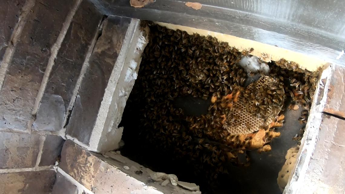 Orko Manna - Journalist Profile - Intelligent Relations