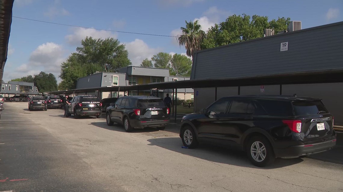 Neighbors tried saving 9-year-old boy after mom heard screaming for ...