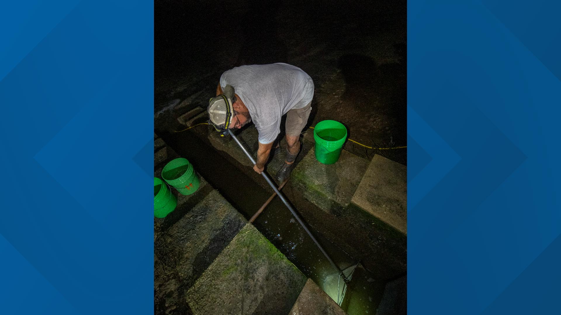 TPWD to release 1 billionth fish into Texas waters | khou.com