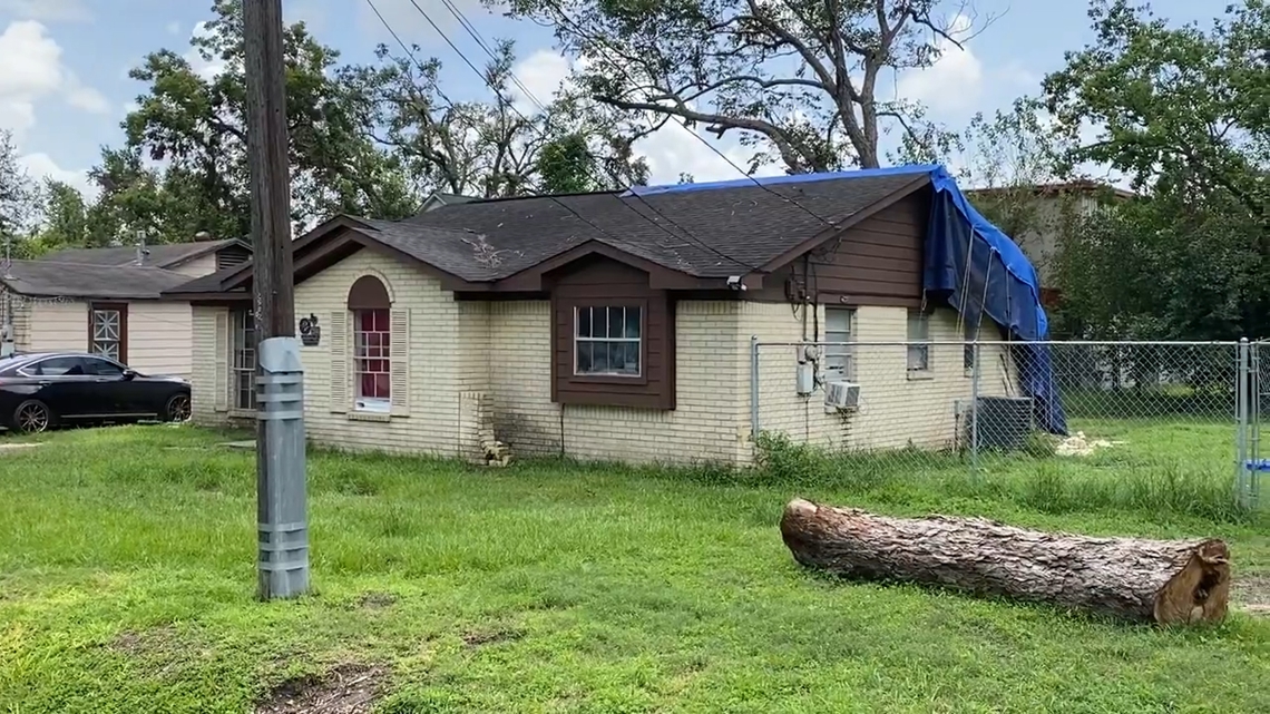 Texas toddler dies after being attacked by 3 Rottweiler dogs | khou.com