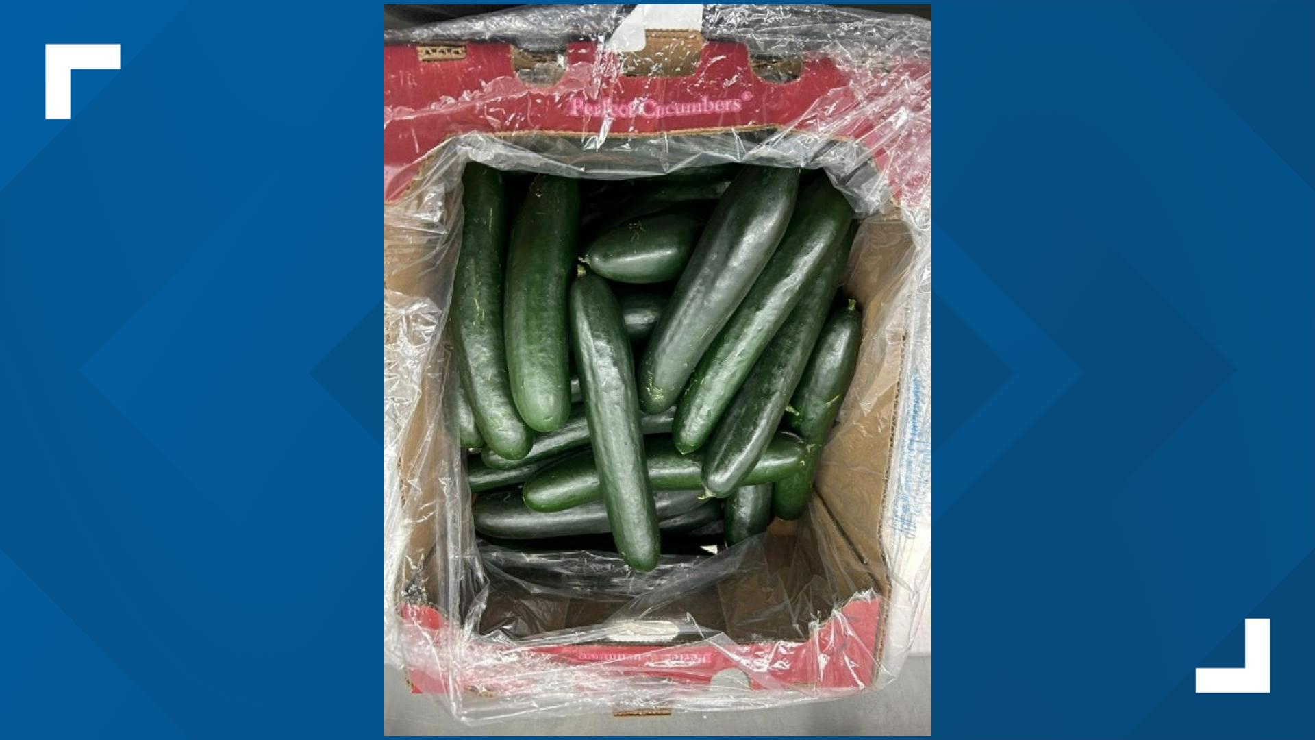 Cucumber recall: Texas among several states where they were sold | khou.com