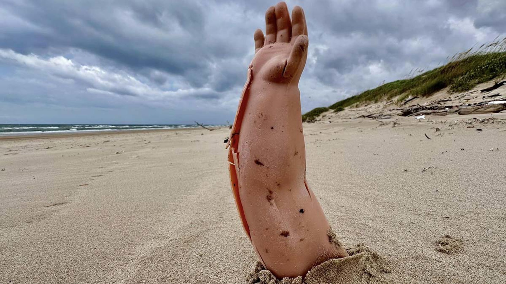 Beachcombing turns up weird finds on Texas beaches | PHOTOS | khou.com