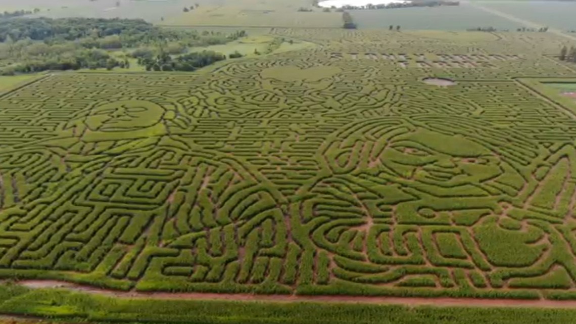 Minnesota farm looks to become world's largest corn maze | khou.com