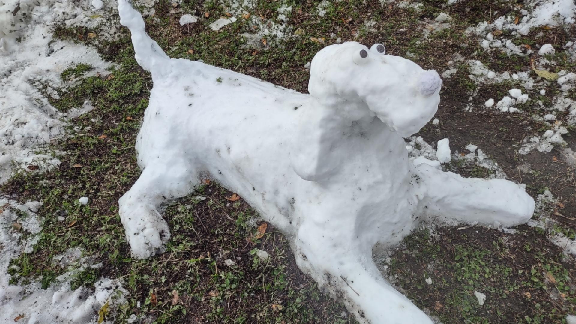 Photos: Southeast Texas snowmen and women | khou.com