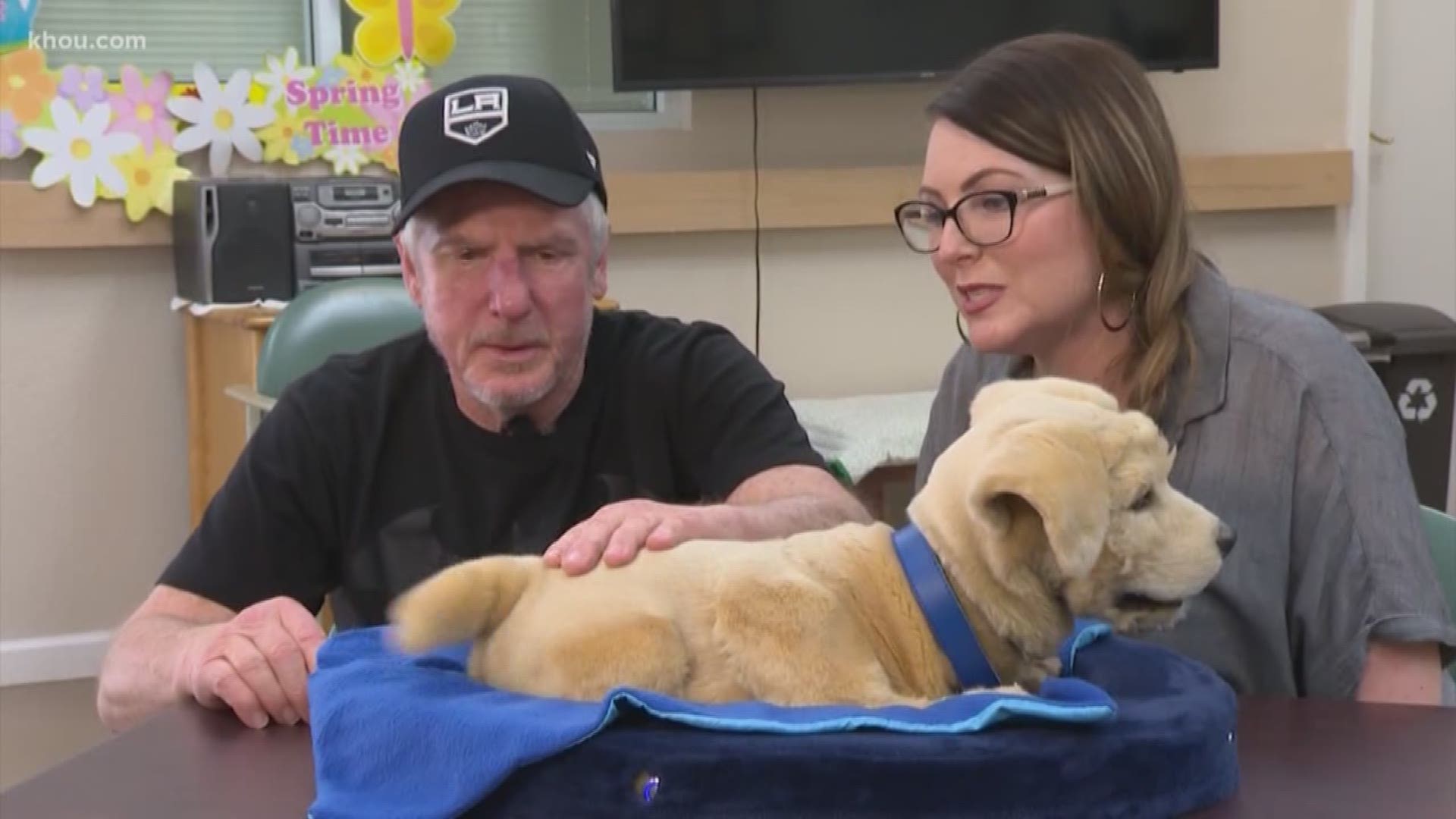 Robot therapy dogs could help patients who can't care for living pet ...