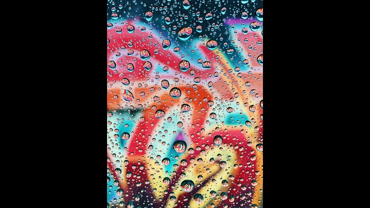 Winners of Apple's iPhone challenge show impressive shots taken with ...