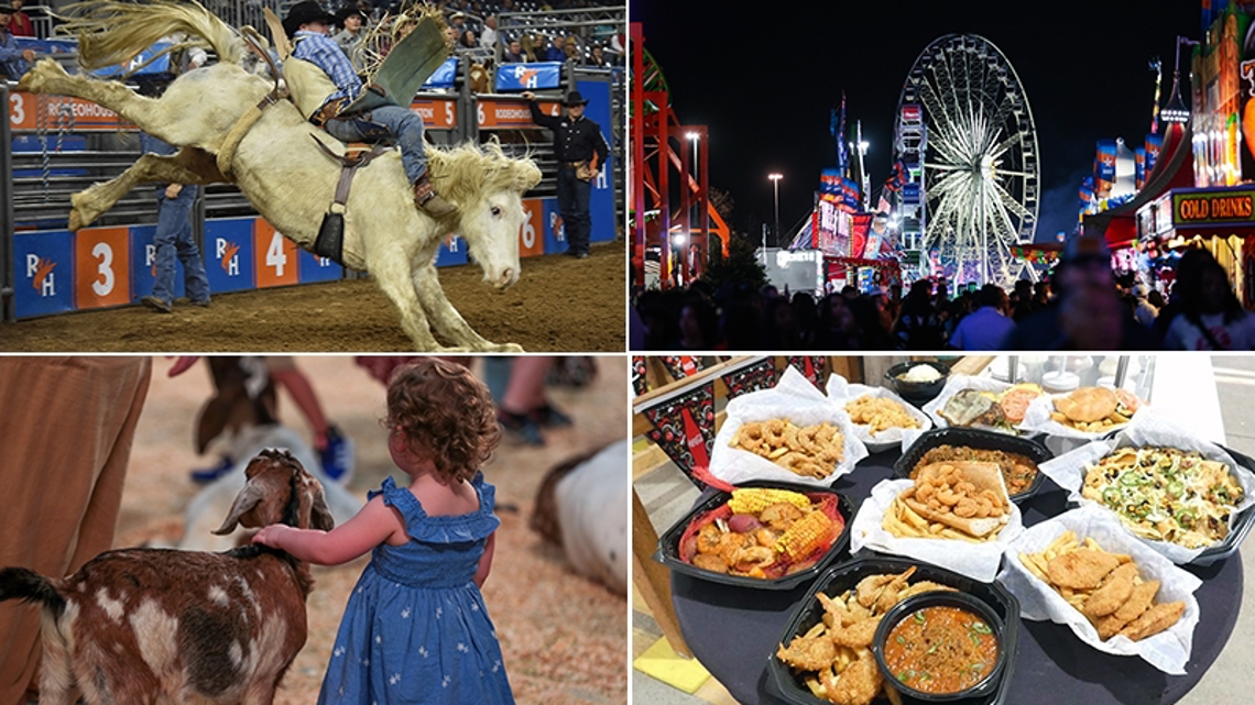 Top 11 reasons to go to 2025 RodeoHouston! | khou.com