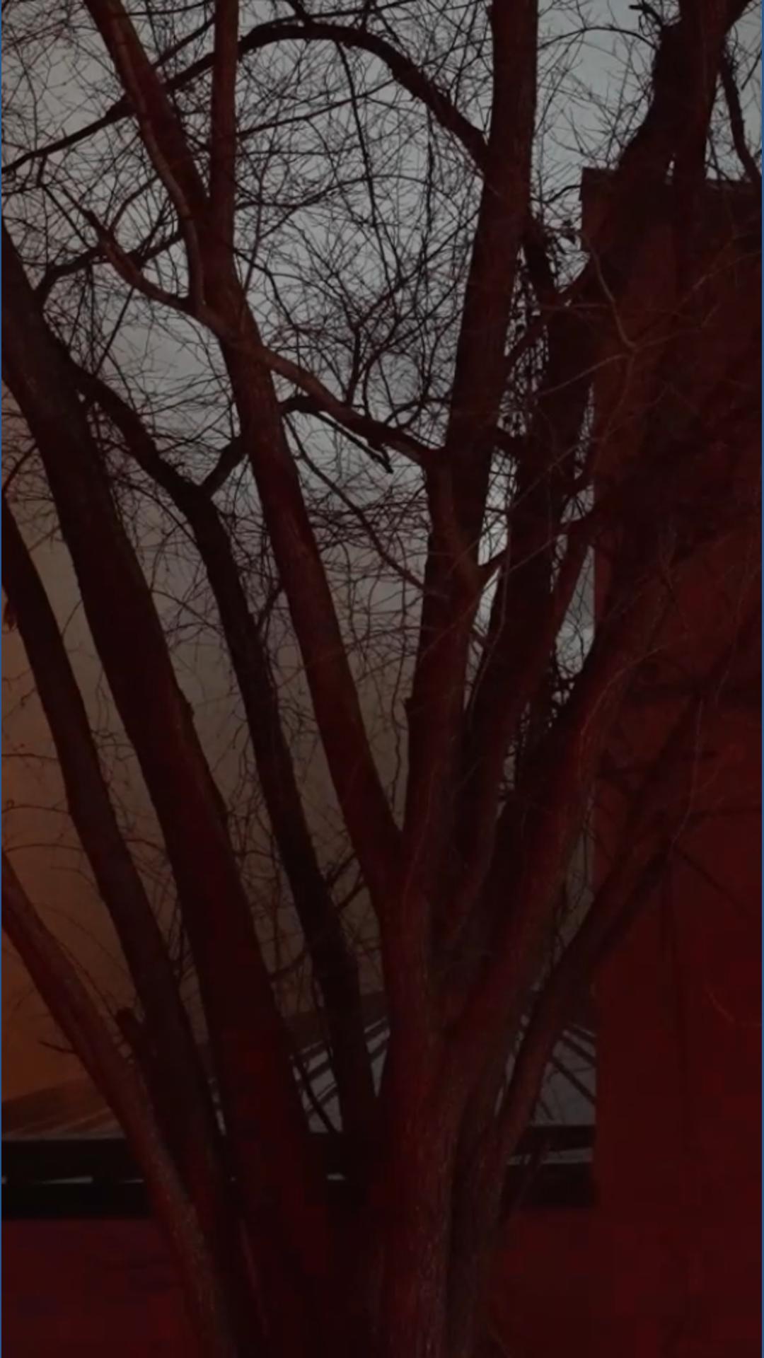 Here's why the U.S. issued a travel warning for Turks and Caicos | khou.com