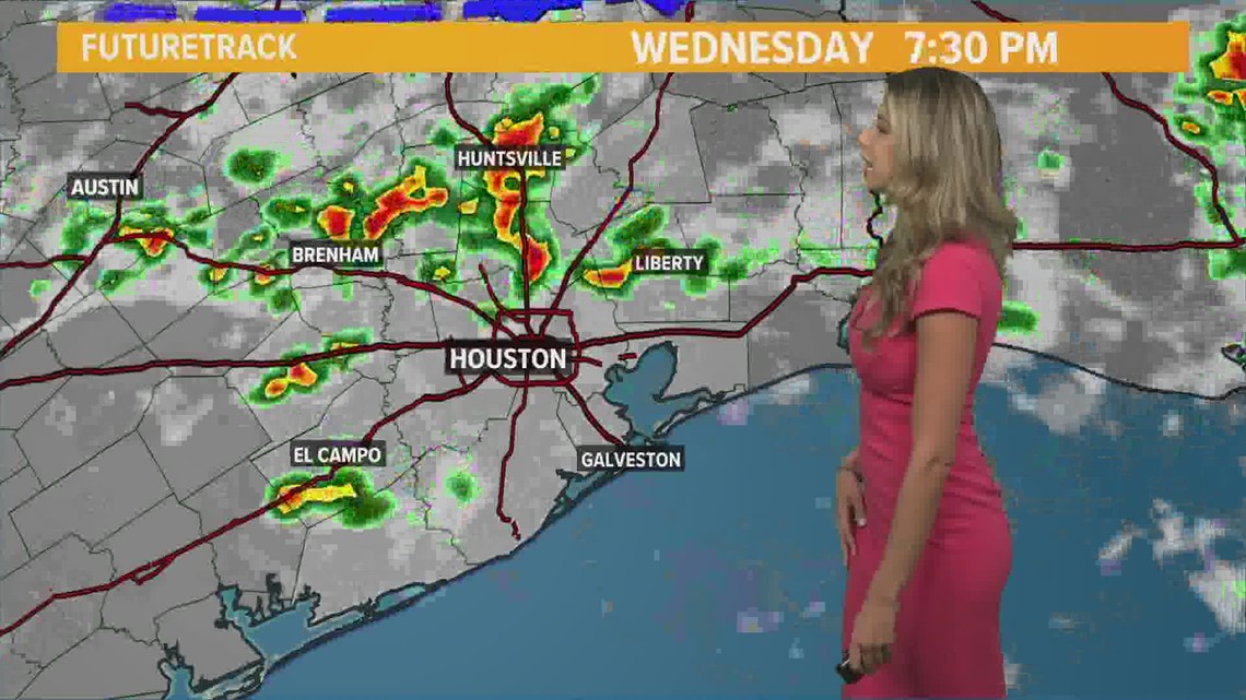 Felicia Johnson missing in Houston for three weeks | khou.com