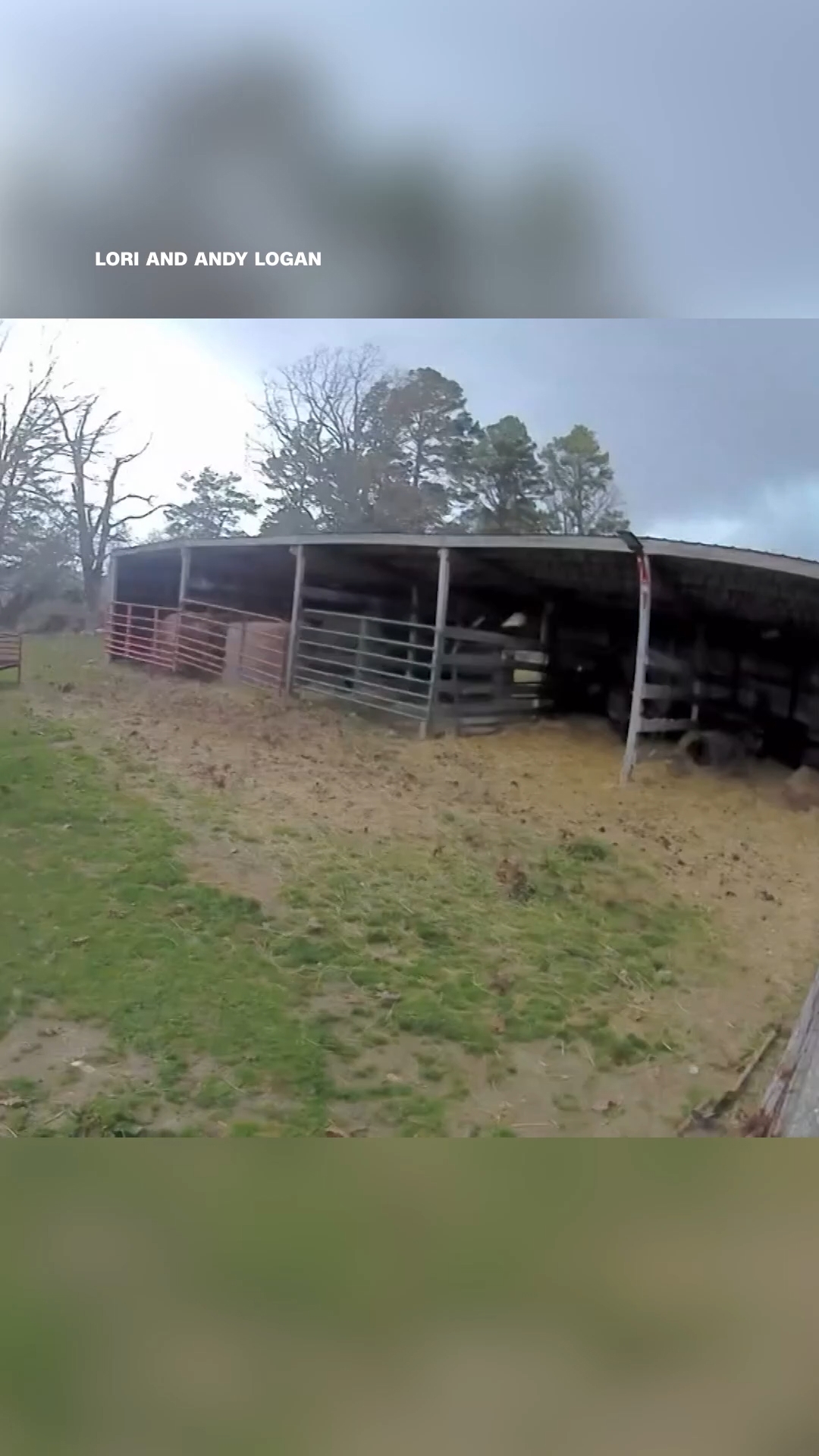 Strong winds blow barn off donkeys during Missouri tornado threat ...
