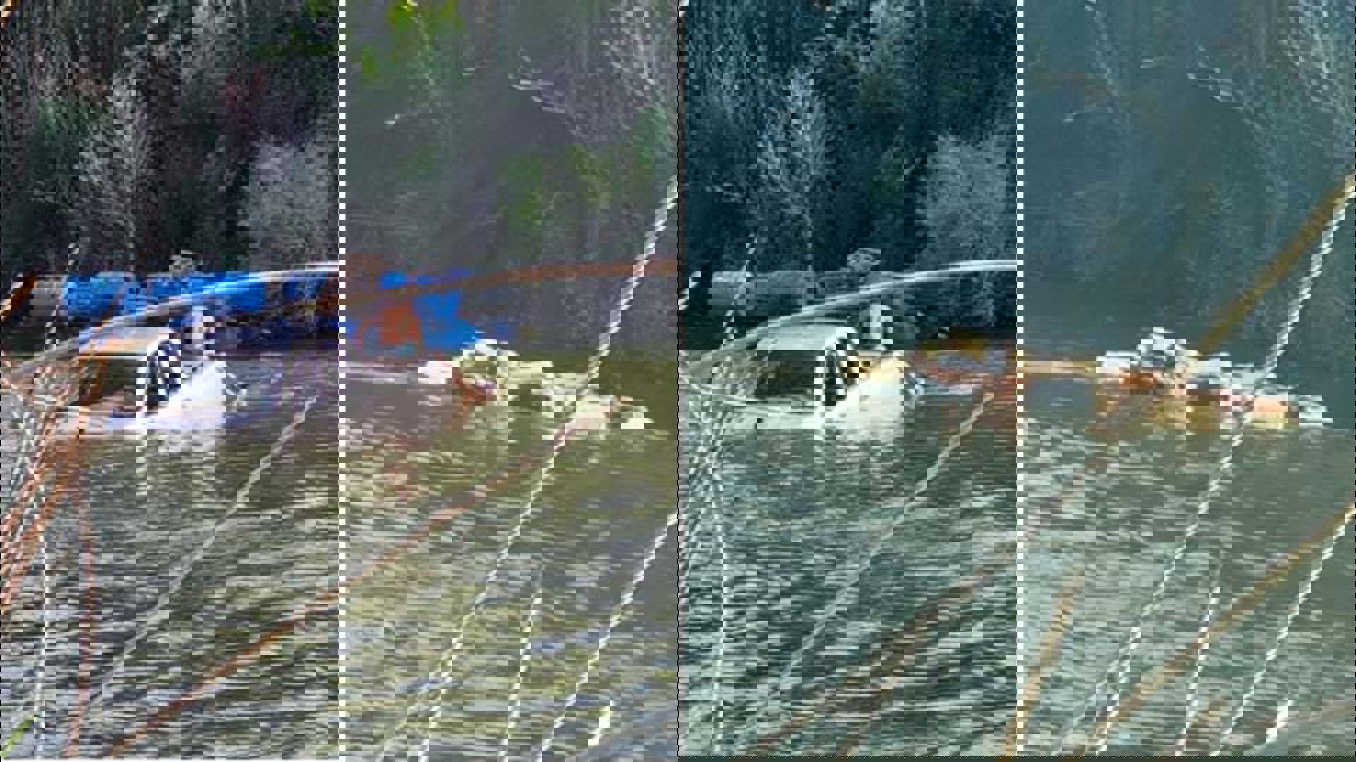 Immigration | khou.com